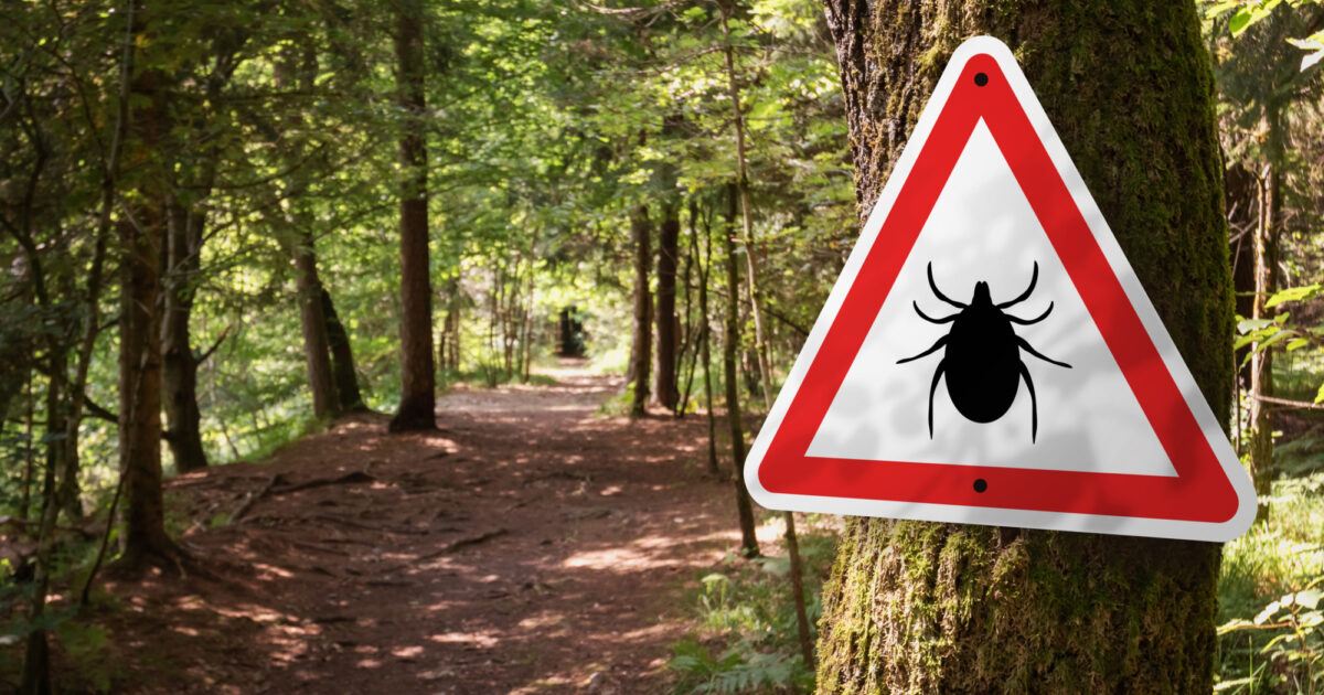 Ticks and Lyme Disease | Wood River Health